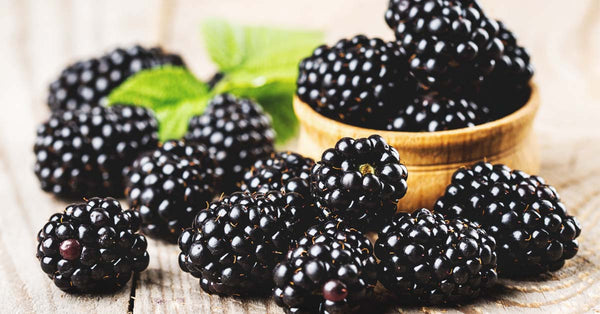 Blackberries – Ormond Fresh Produce